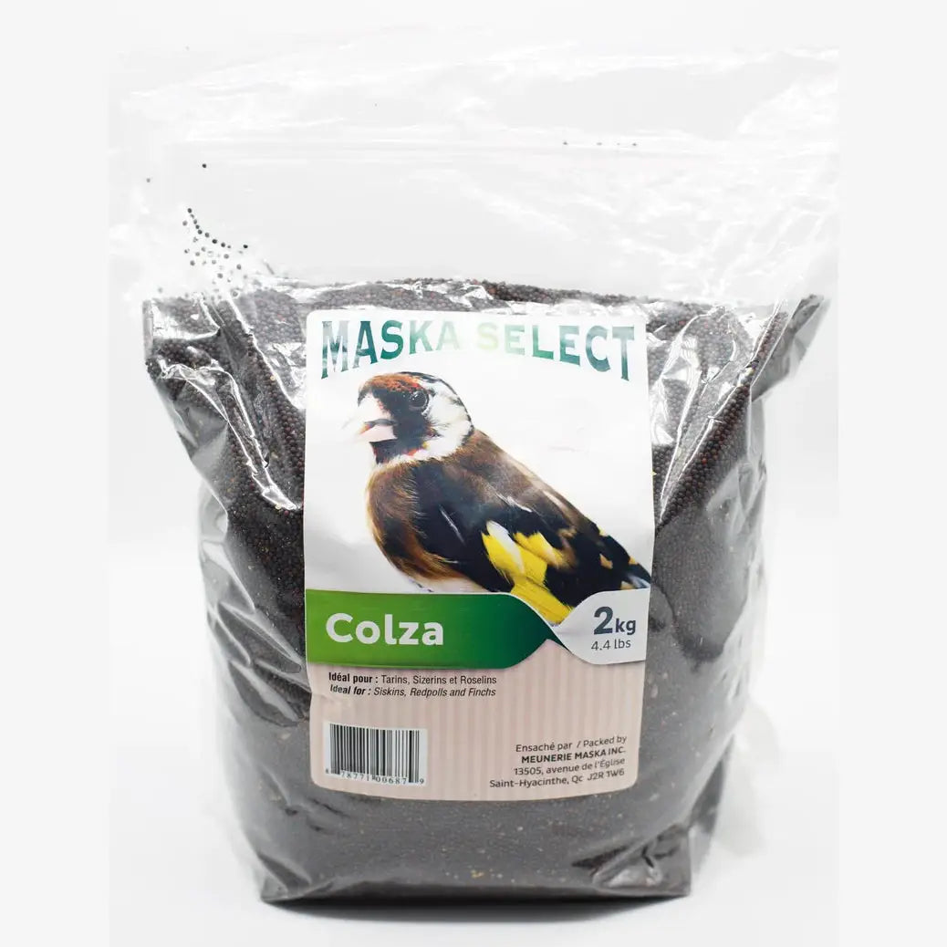 Rapeseed – NutriK9plus