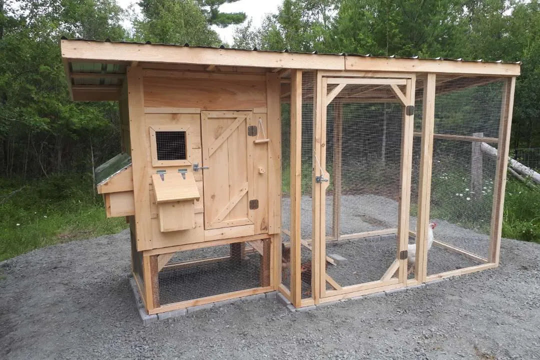 The Jim Coop – NutriK9plus