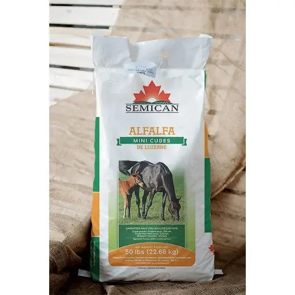 Timothy Alfalfa Mini Cube 22.68kg – NutriK9plus